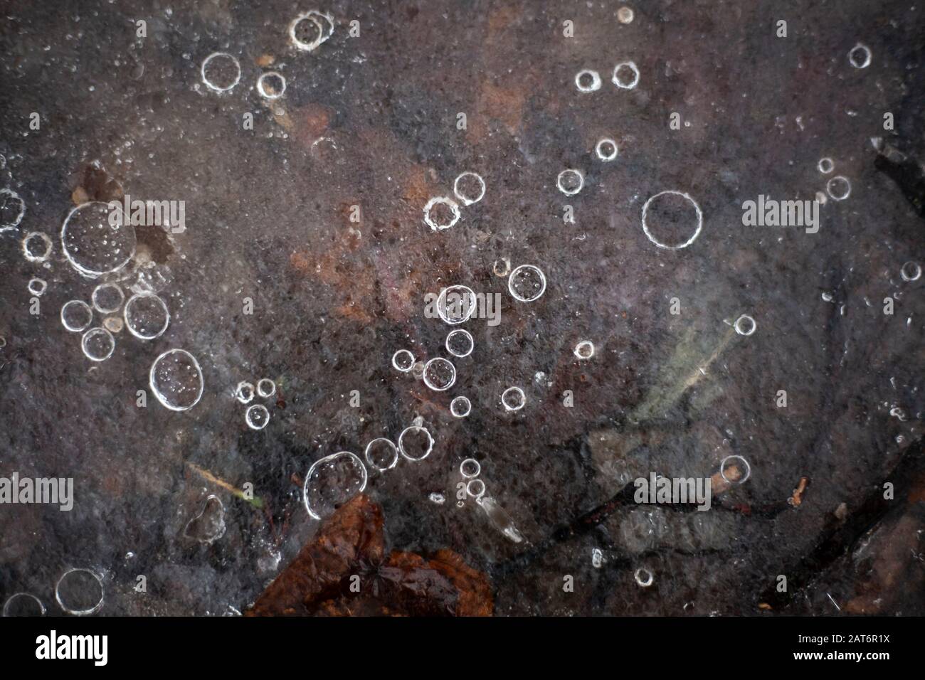 Bubbles of air in frozen water. The texture of the ice in nature ...