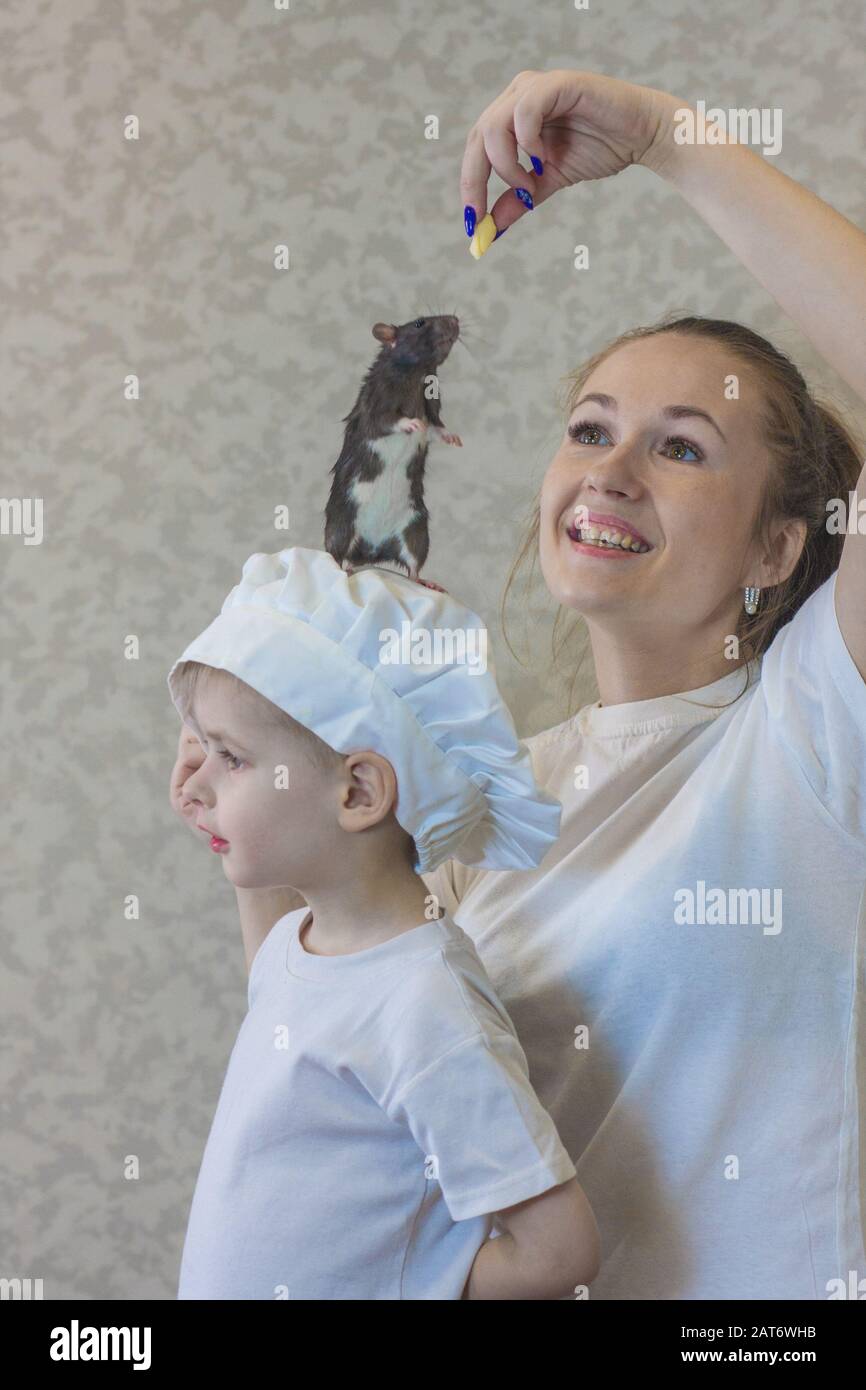 Cook a child with a rat on his head. Gourmet pets. Mother and son Stock ...