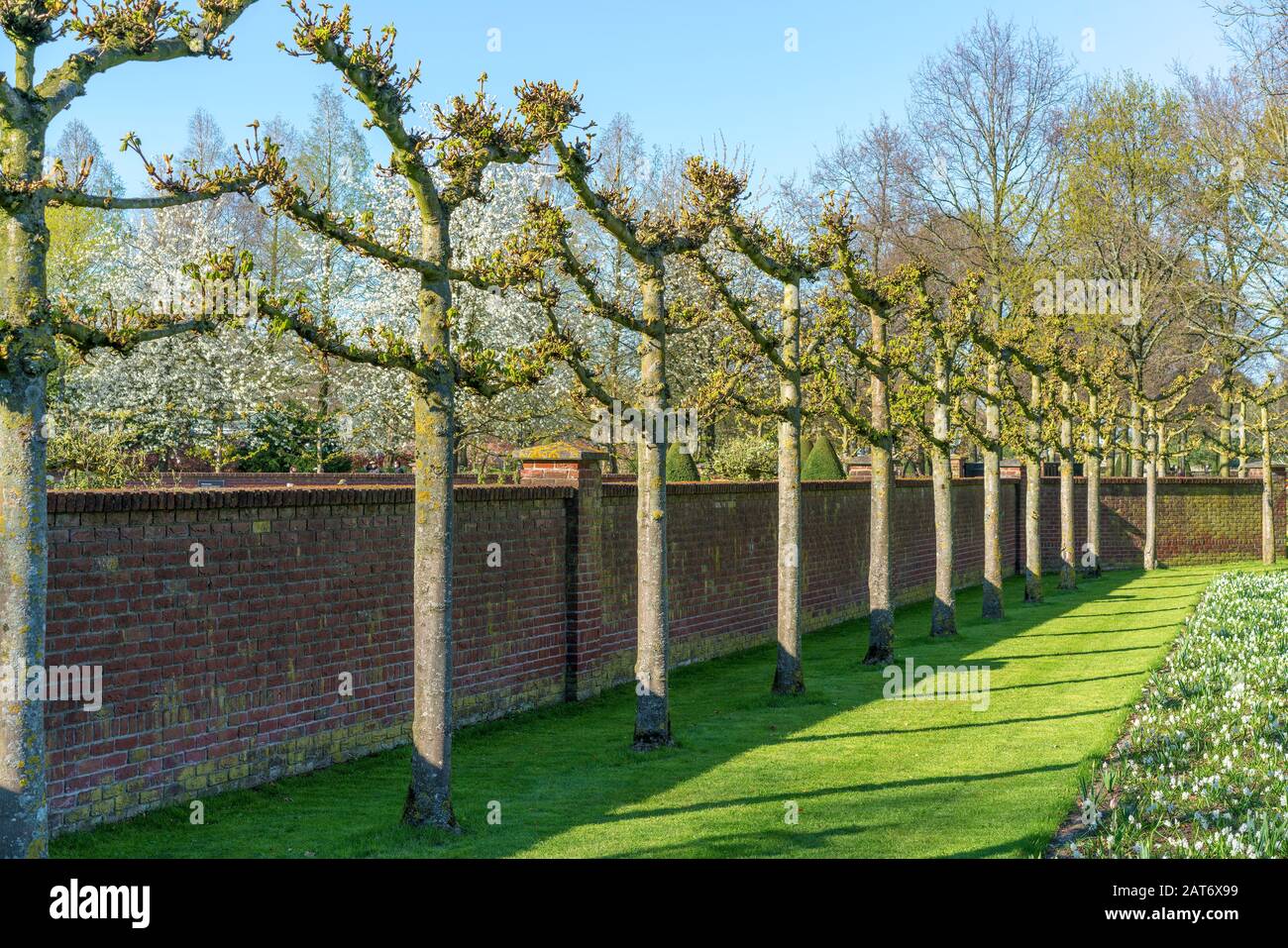 Compact crown hi-res stock photography and images - Alamy