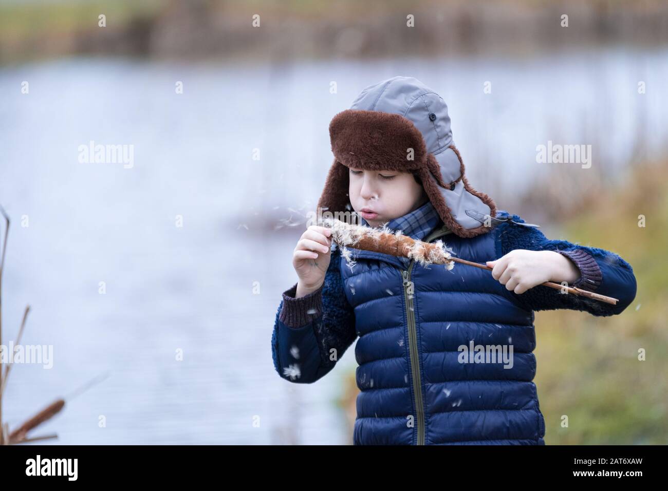 Boy and Typha. A guy in a jacket and hat stands on the shore of a lake ...