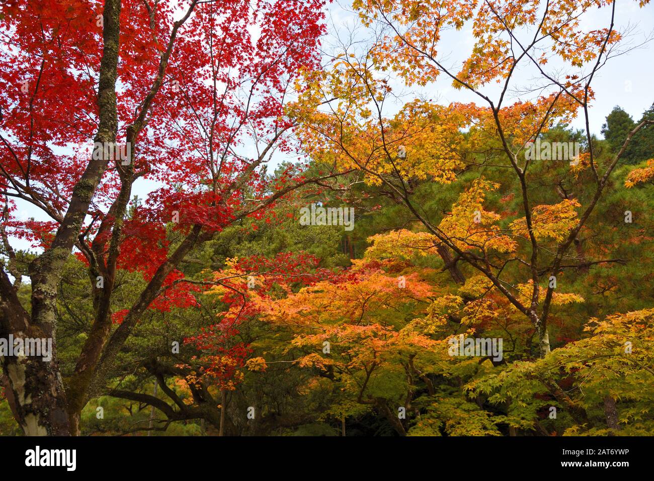Silver Pavilion of Ginkaku-ji Temple Stock Photo - Alamy