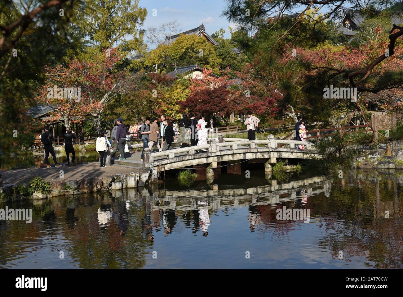 tourists visit Maruyama temple Stock Photo - Alamy