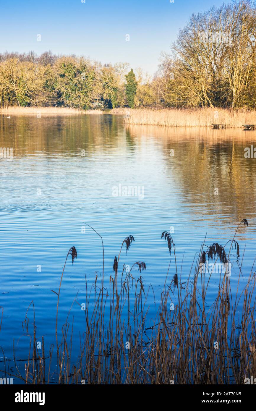 Coate water park swindon landscape hi-res stock photography and images ...