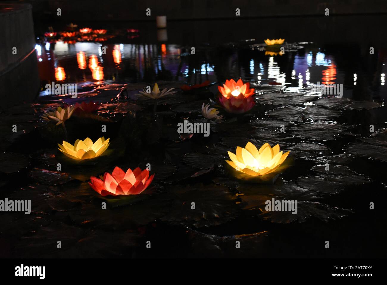 Lotus lantern festival lanterns hi-res stock photography and images - Alamy