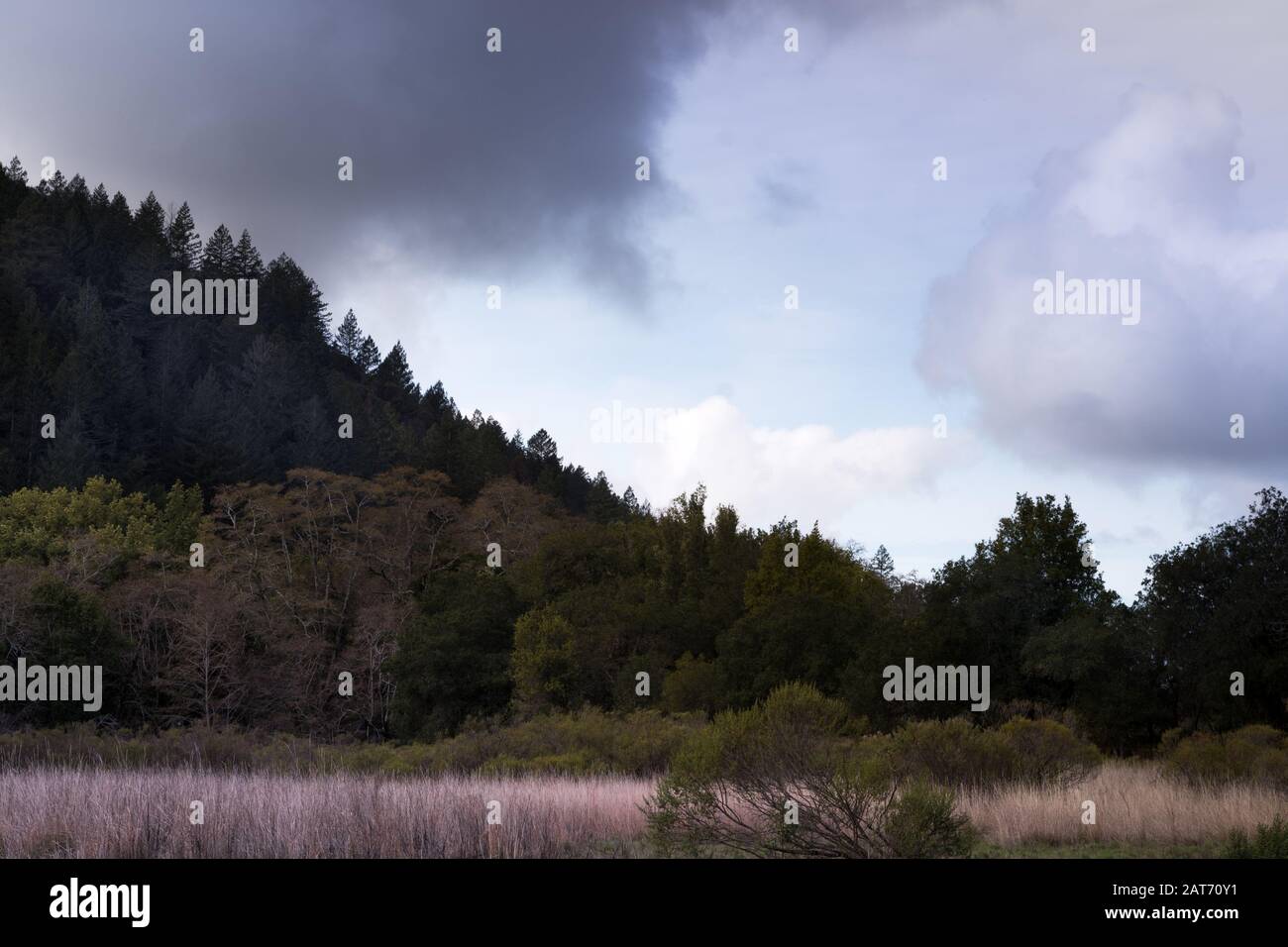 View of a mountain ridge with cloudy sky from a hiking trail in ...