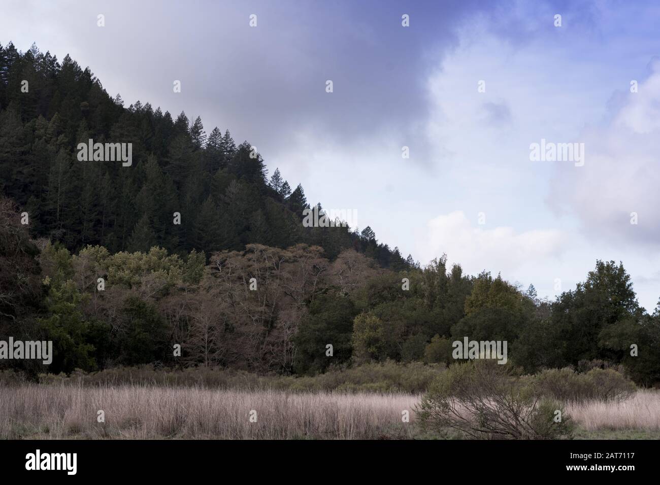 View of a mountain ridge with cloudy sky from a hiking trail in ...