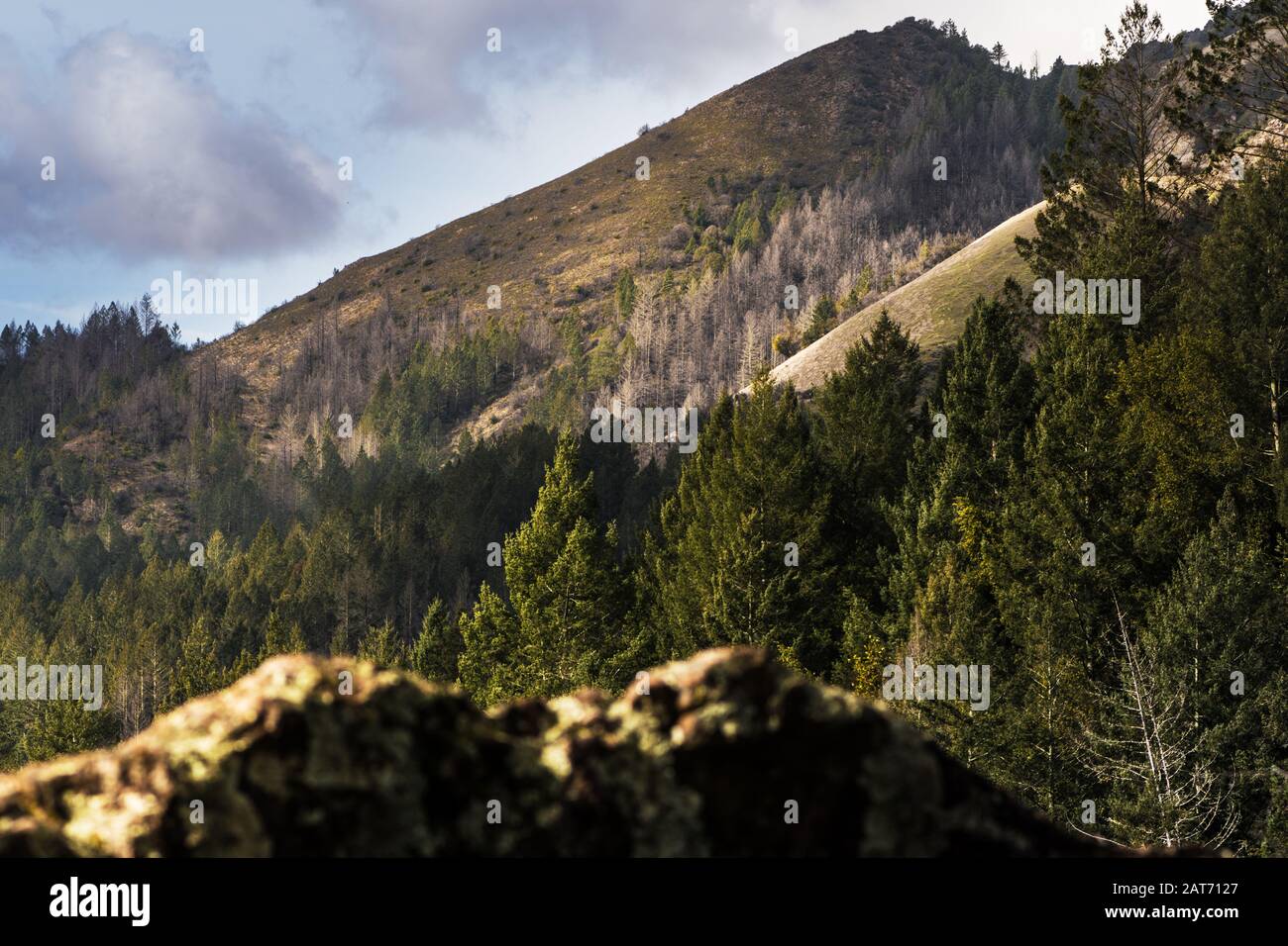 View of a mountain ridge with cloudy sky from a hiking trail in ...
