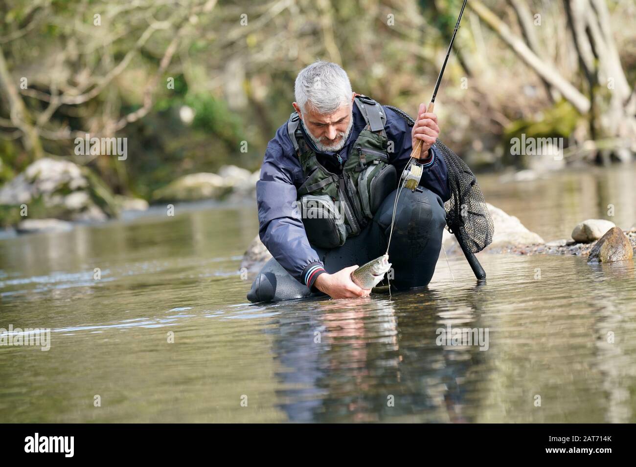catch of a rainbow trout by a fly fisherman in the river Stock Photo ...
