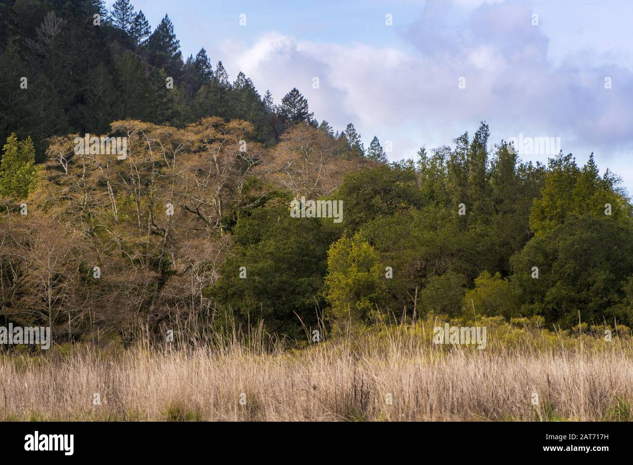 View of a mountain ridge with cloudy sky from a hiking trail in ...