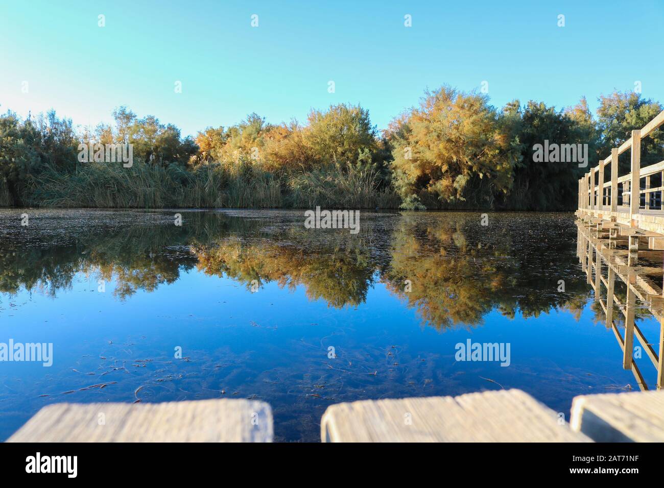 The Azraq Wetland Reserve is a nature reserve located near the town of ...