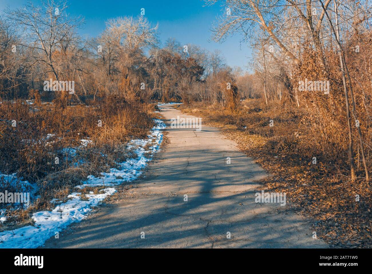 Picturesque path in the old park stretches into the distance Stock ...
