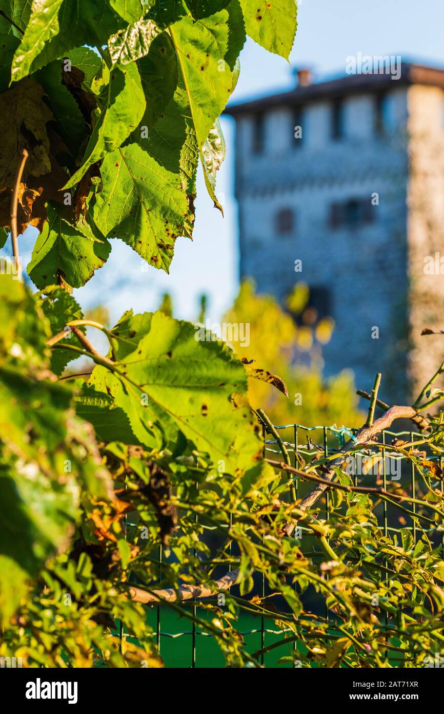Autumn colors cover the Cassacco Castle. Friuli. Italy Stock Photo - Alamy