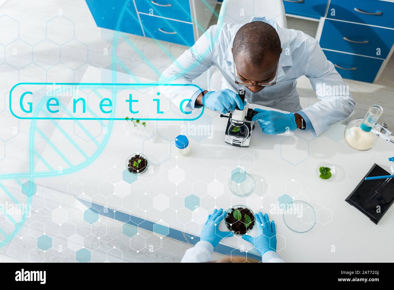 overhead view of multicultural biologists testing leaves with genetic ...