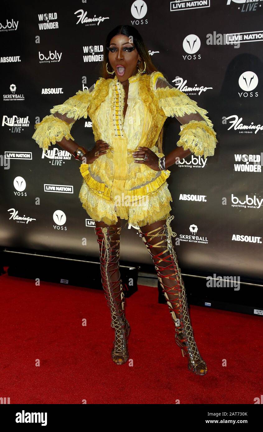 Coco Montrese Dorito