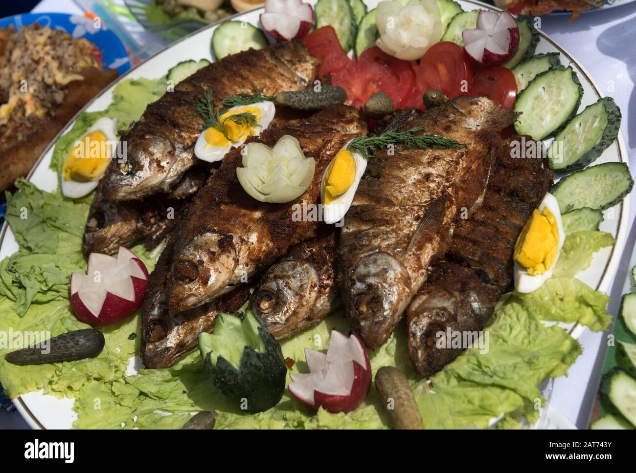 Fish eggs river hi-res stock photography and images - Alamy