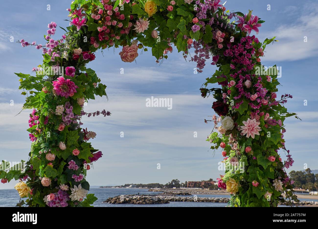 Arc flower at the beach in a sunny day with blue sky in Marbella Stock ...