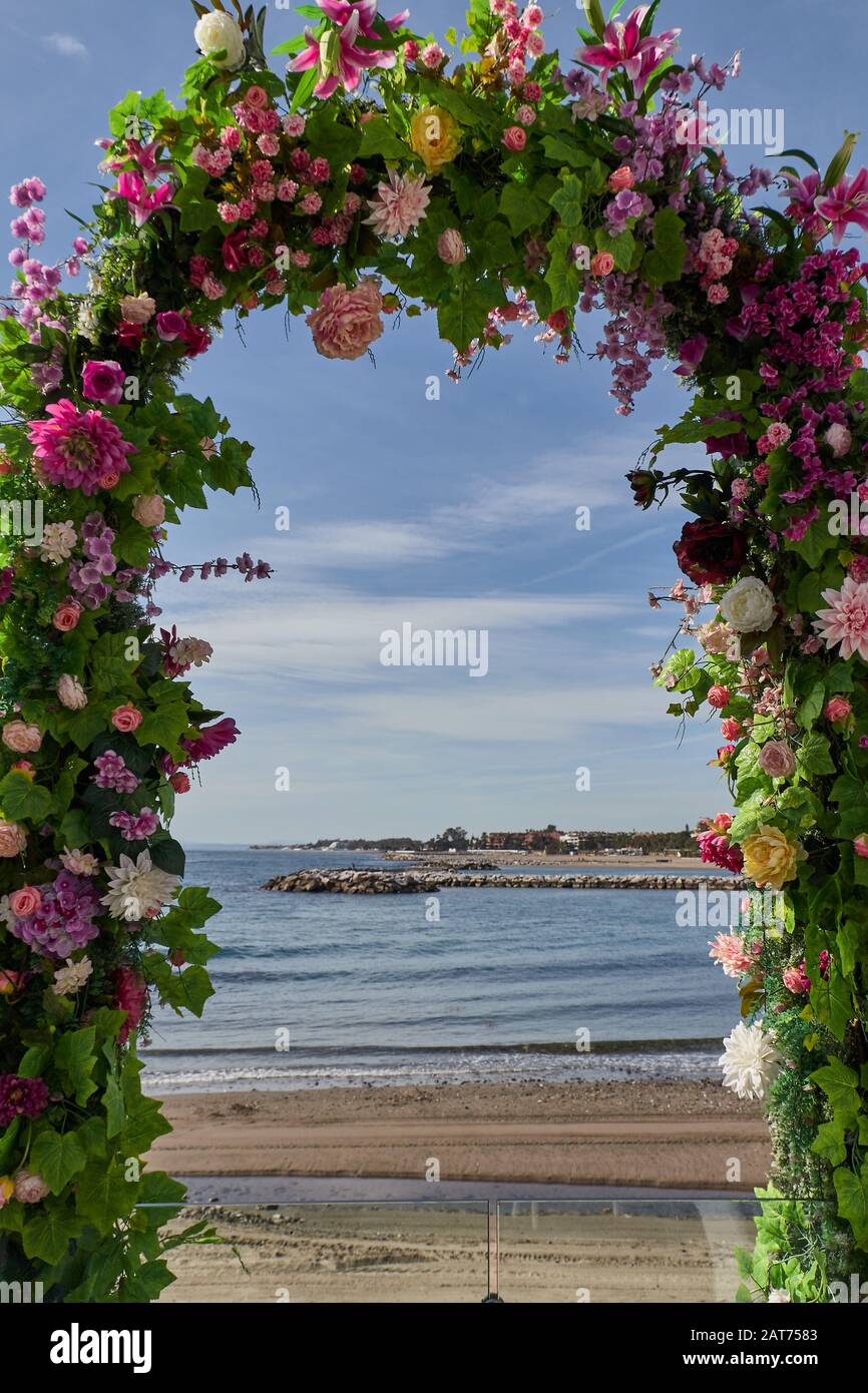 Arc flower at the beach in a sunny day with blue sky in Marbella Stock ...