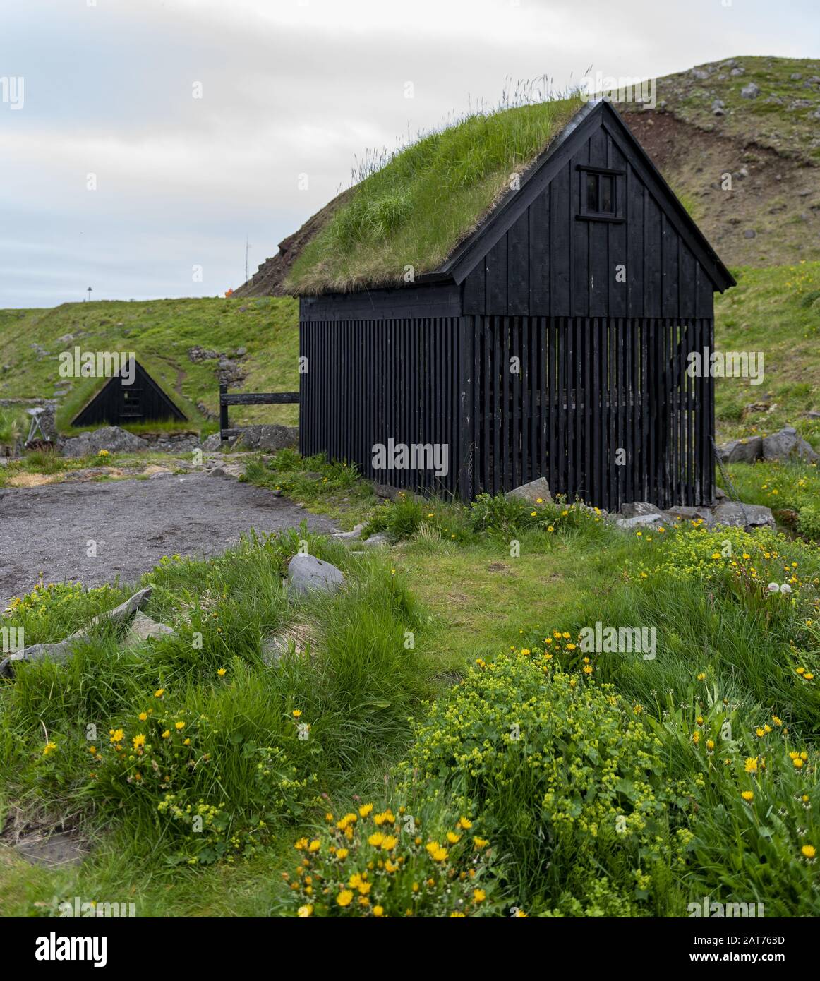 Typical Icelandic fishing village with grass-roofed homes and fish ...