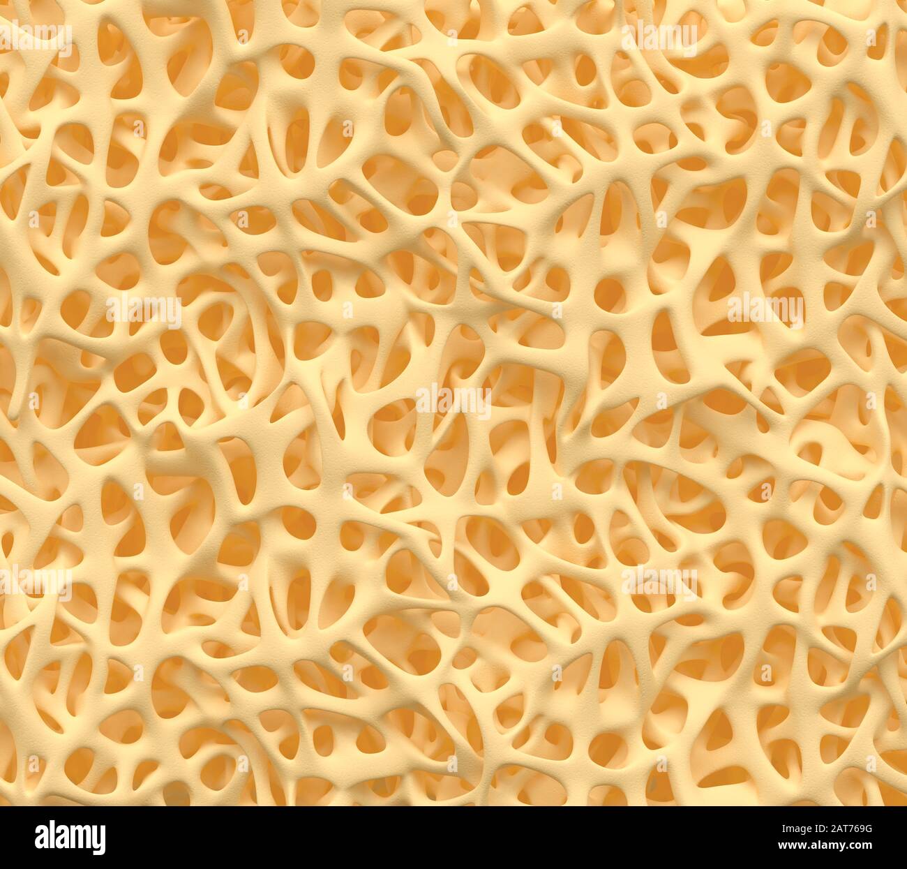 Bone spongy structure close-up, healthy texture of bone Stock Photo - Alamy Bone spongy structure close-up, healthy texture of bone Stock Photo - Alamy