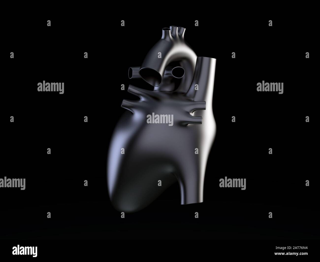 Human heart rear view hi-res stock photography and images - Alamy