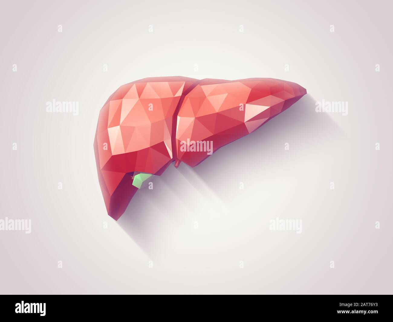 Illustration of human liver with faceted low-poly geometry effect Stock ...