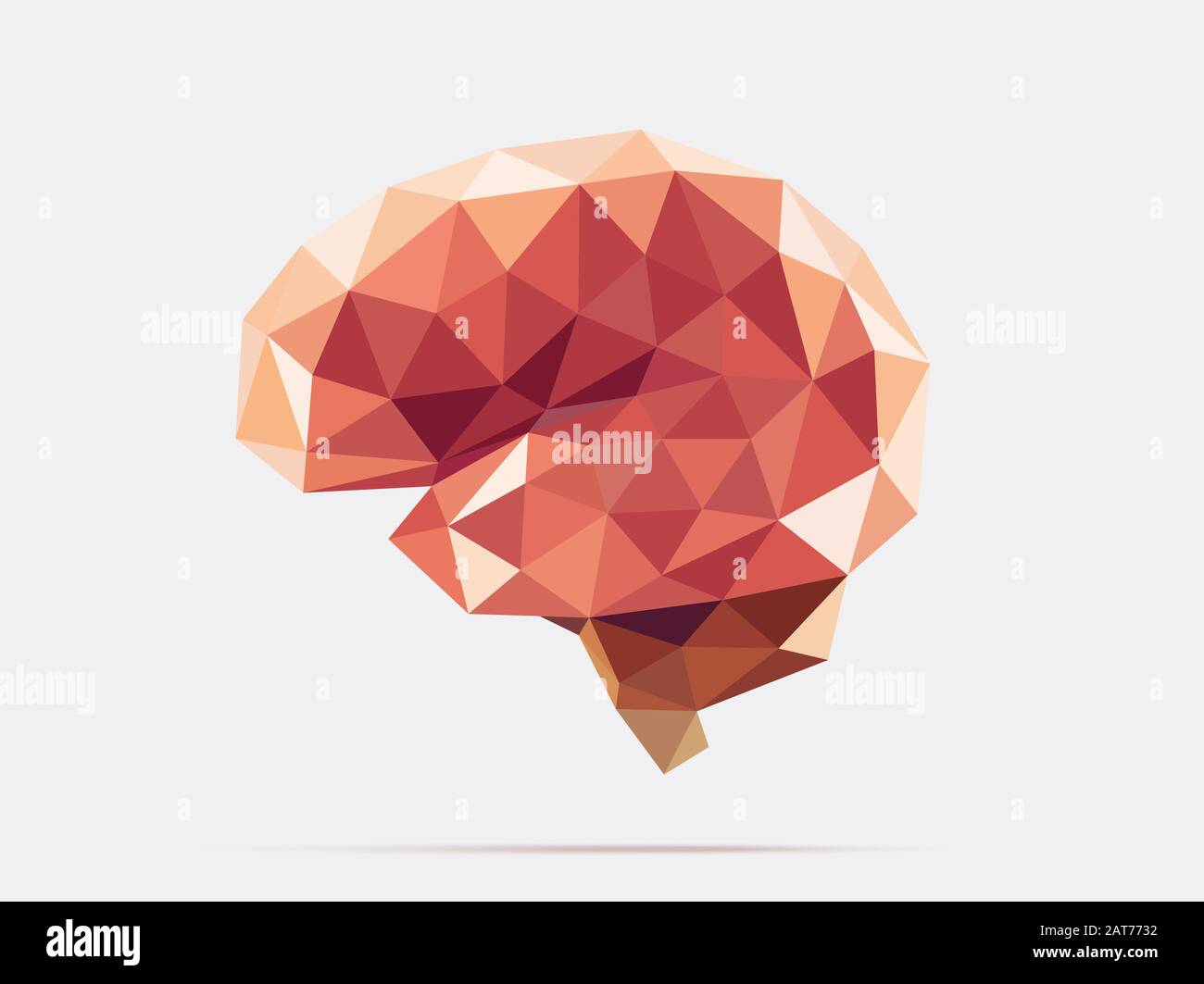 Illustration of human brain with faceted low-poly geometry effect Stock ...