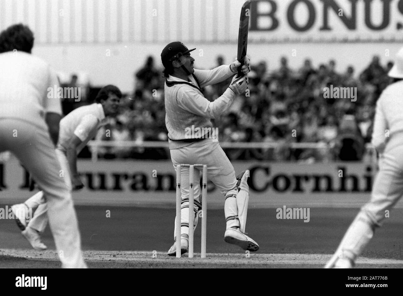 Cricket lamb Black and White Stock Photos & Images - Alamy
