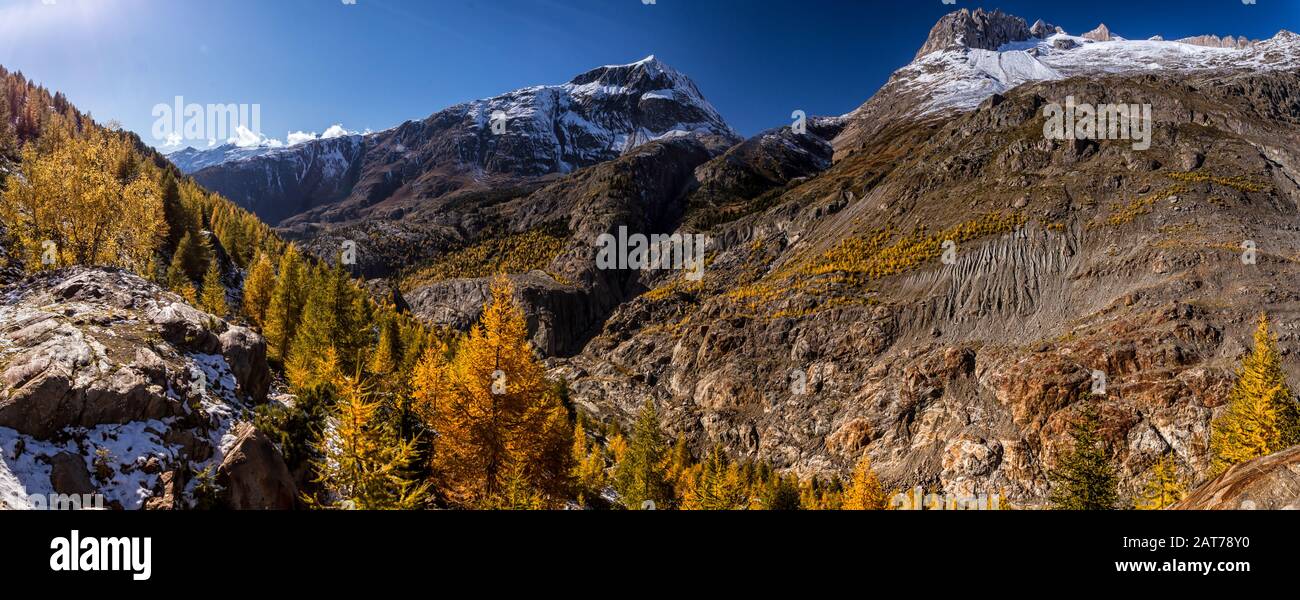 Larche forest in autumn hi-res stock photography and images - Alamy