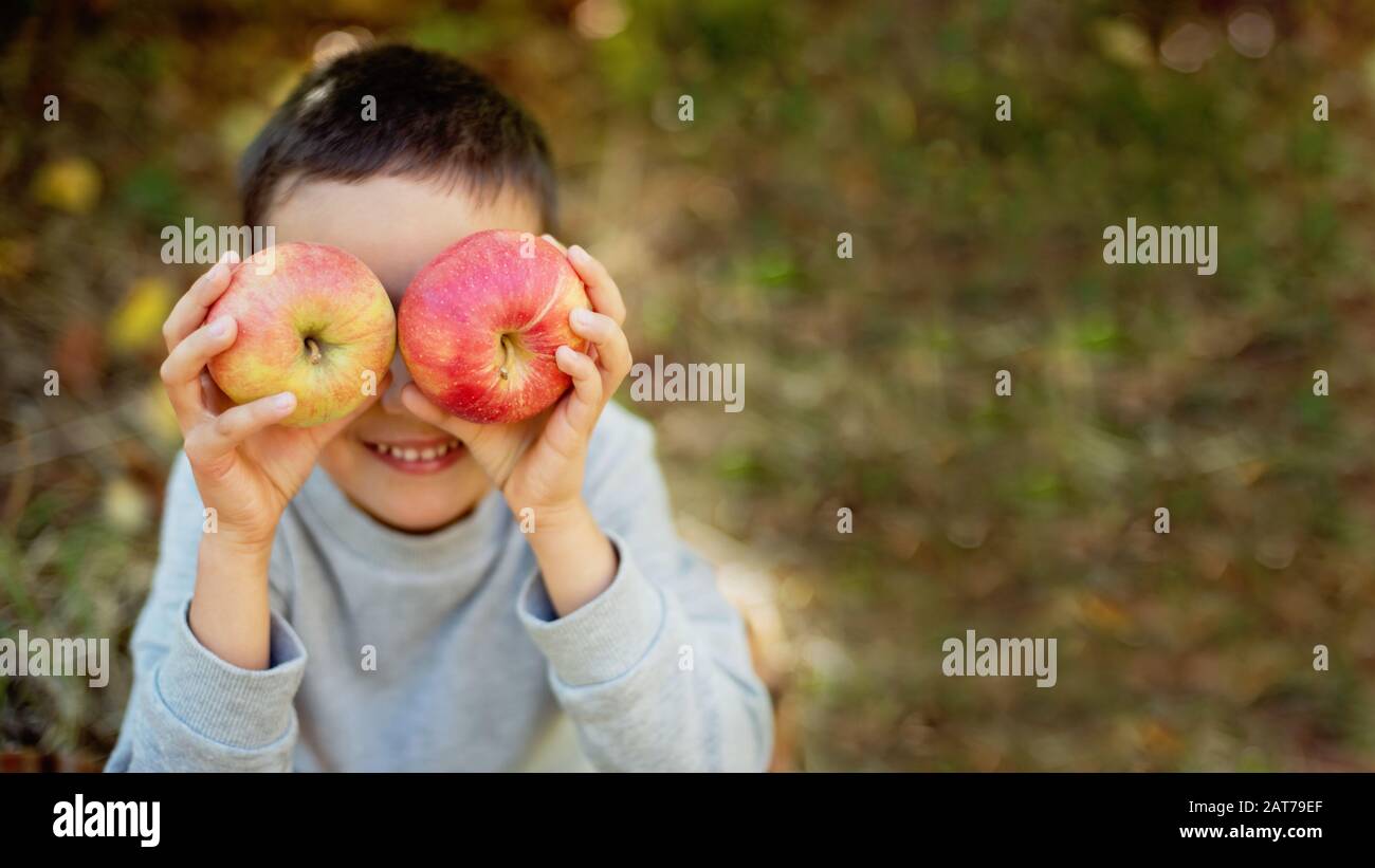 portrait of girl eating red organic apple outdoor. Harvest Concept ...