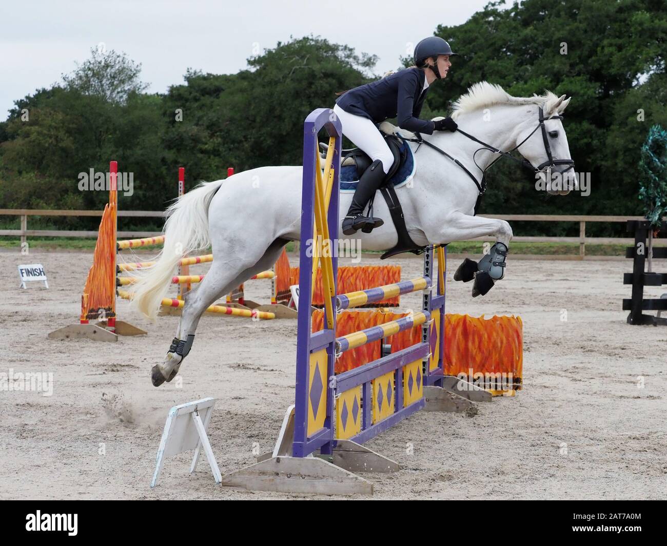 A grey horse and rider jump a coloured show jump Stock Photo - Alamy