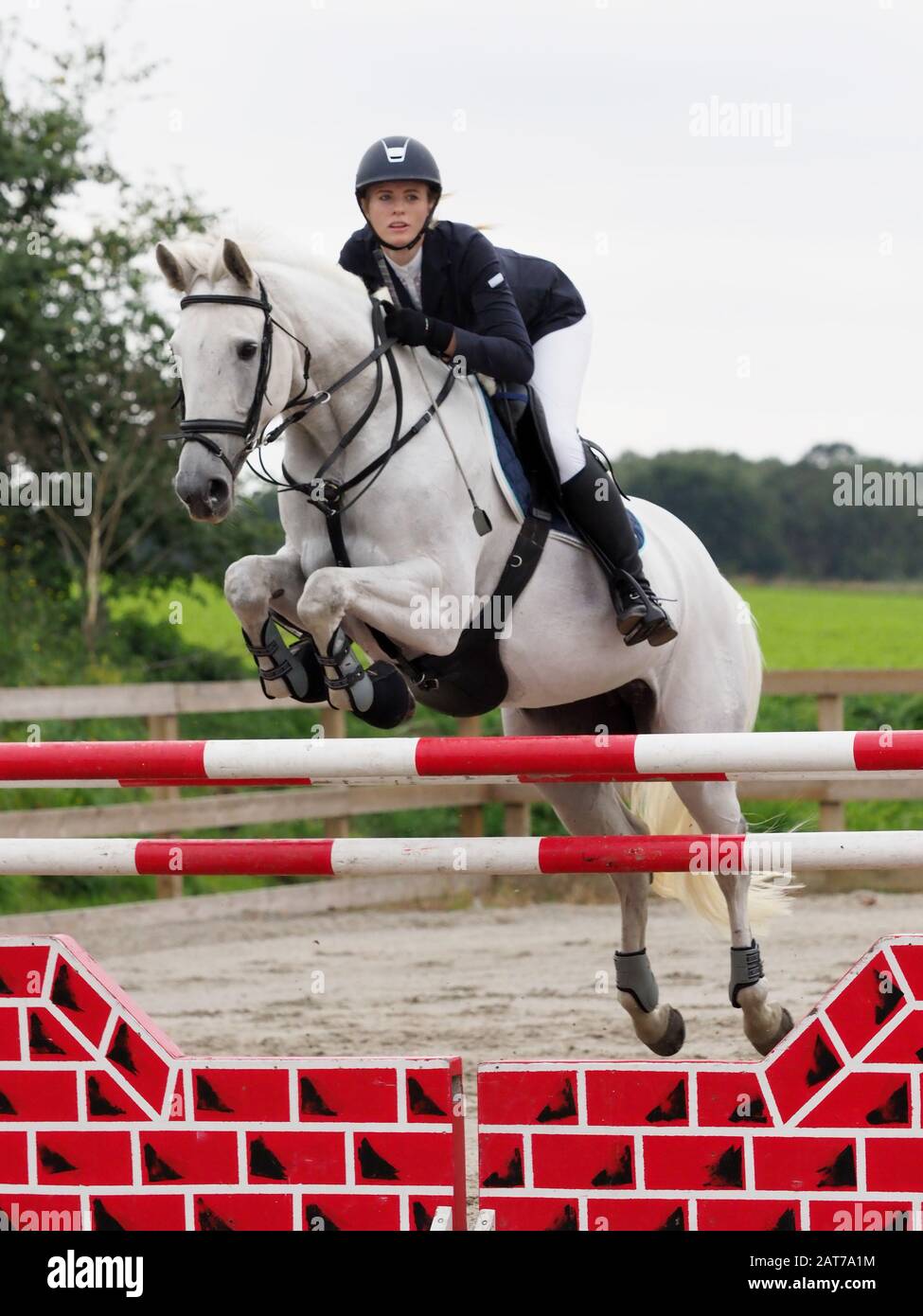 Horse grey riding rider canter hi-res stock photography and images - Alamy