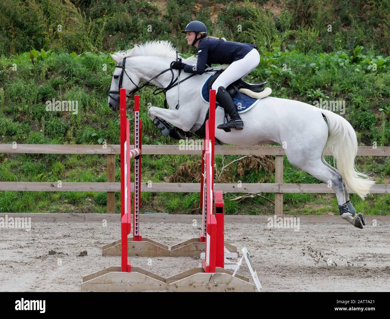 A grey horse and rider jump a coloured show jump Stock Photo - Alamy
