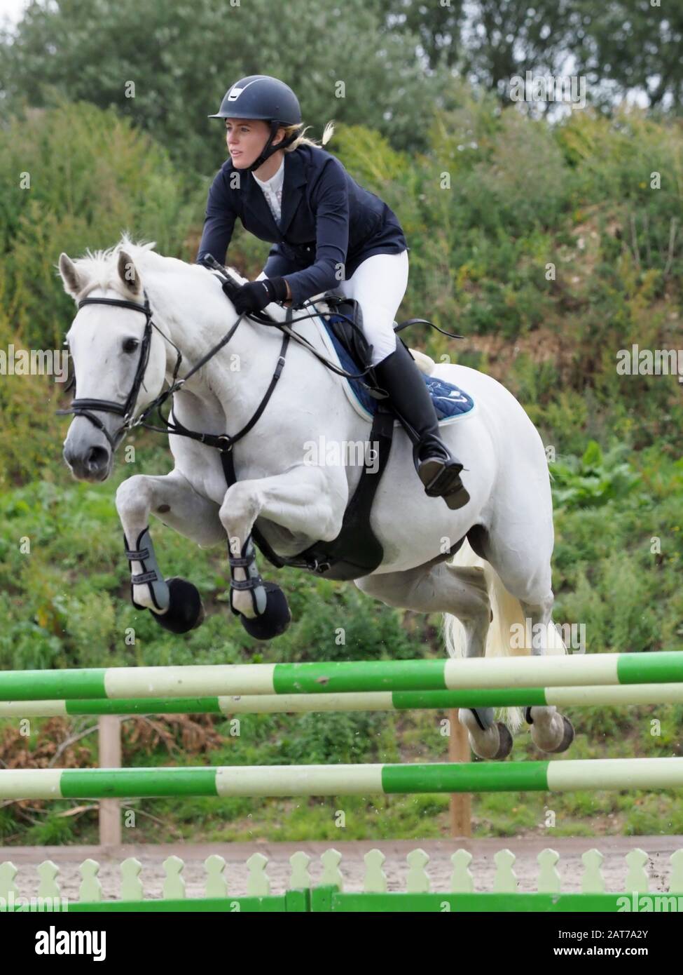 Horse grey riding rider canter hi-res stock photography and images - Alamy