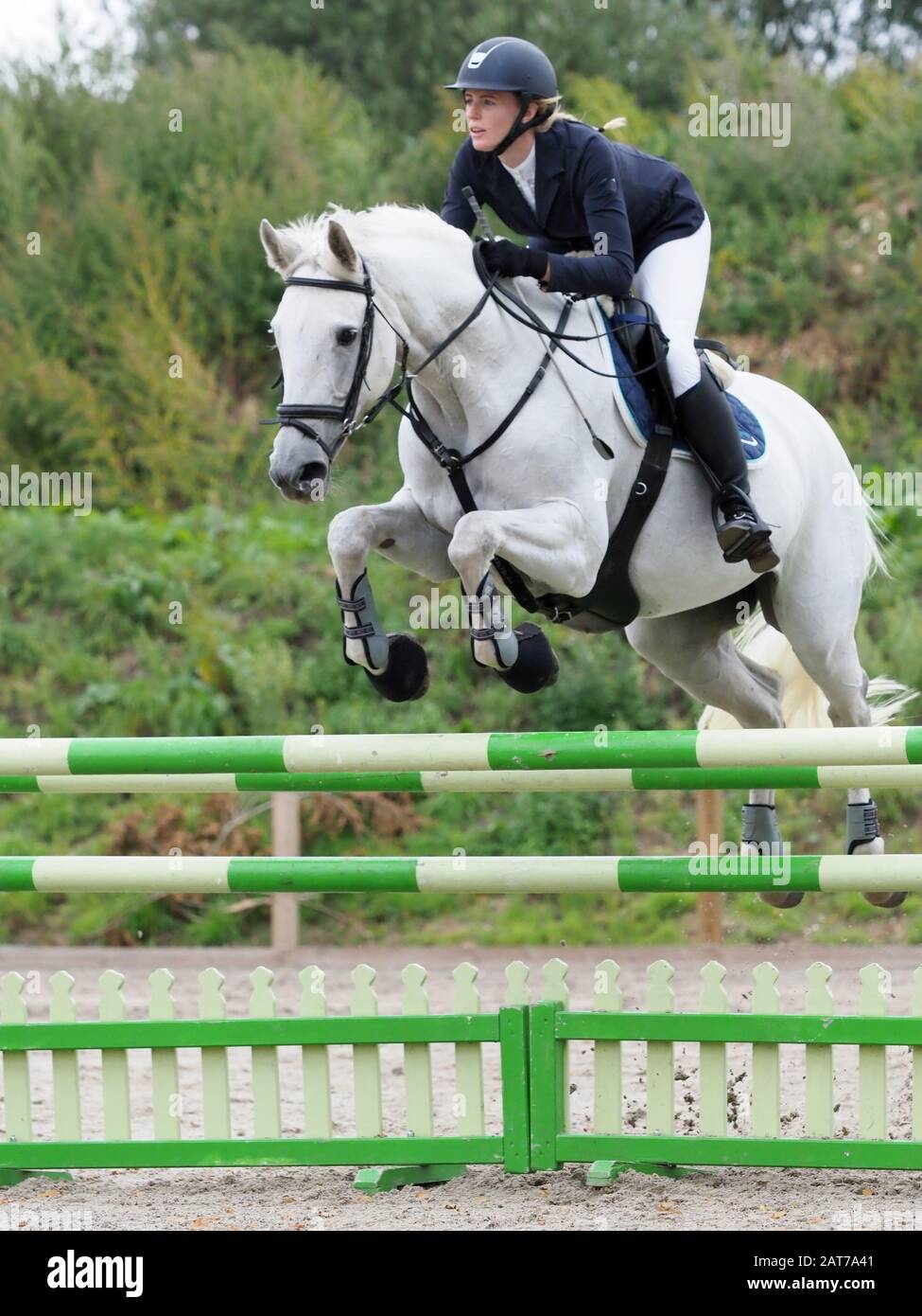 A grey horse and rider jump a coloured show jump Stock Photo - Alamy