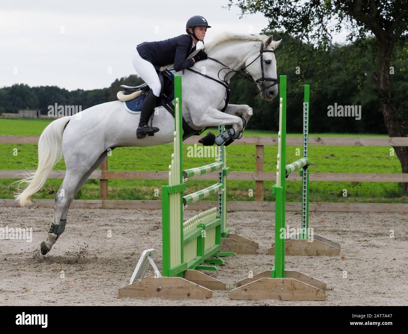 Showjumping upright fence jump hi-res stock photography and images - Alamy