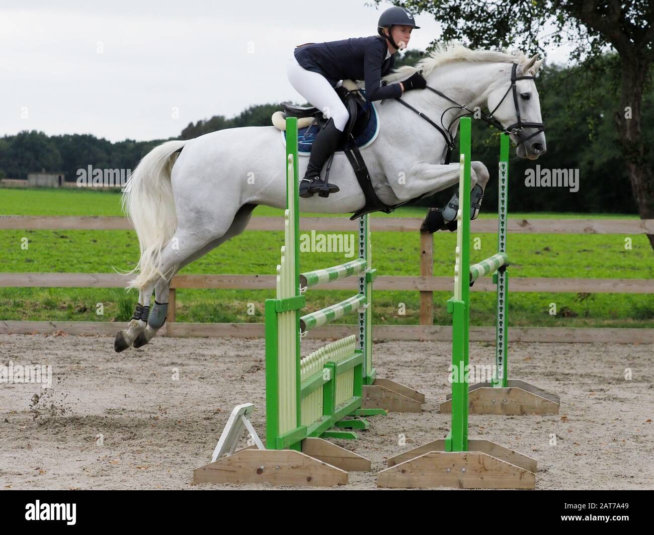 A grey horse and rider jump a coloured show jump Stock Photo - Alamy