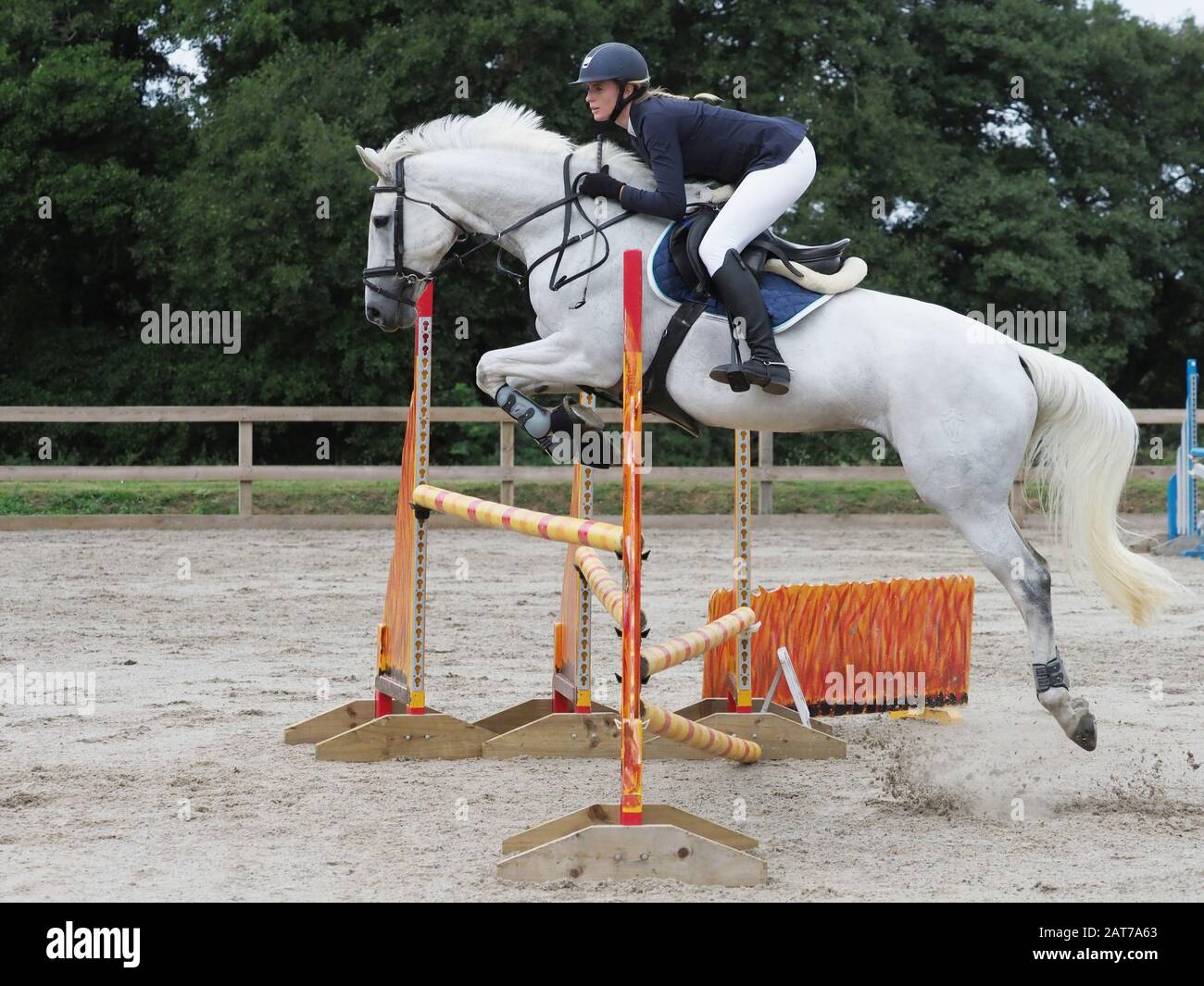 A grey horse and rider jump a coloured show jump Stock Photo - Alamy