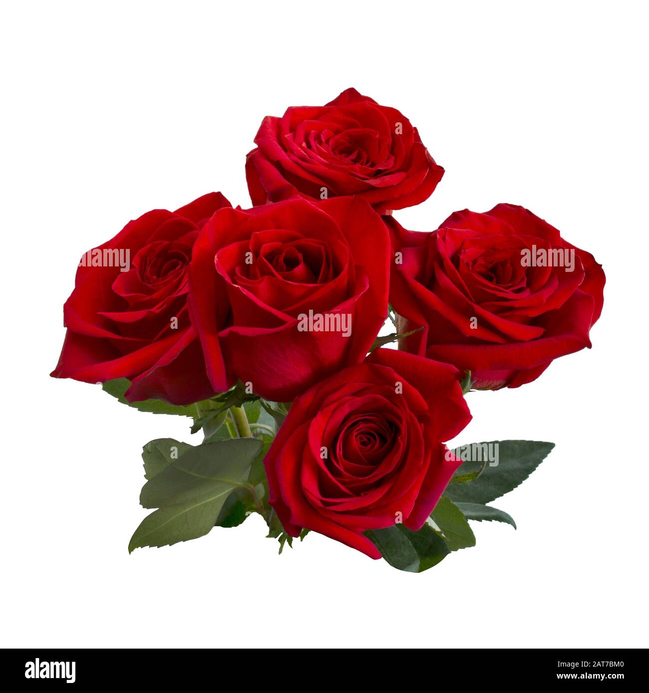 Bouquet of red roses isolated on white background Stock Photo - Alamy