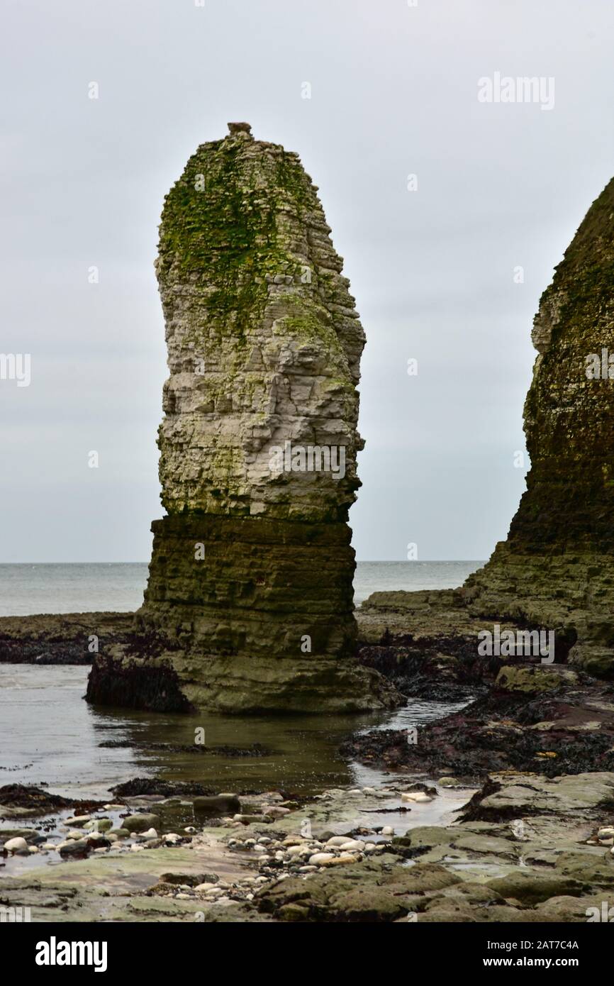 Lone stack, Flamborough Head, East Yorkshire, winter Stock Photo - Alamy