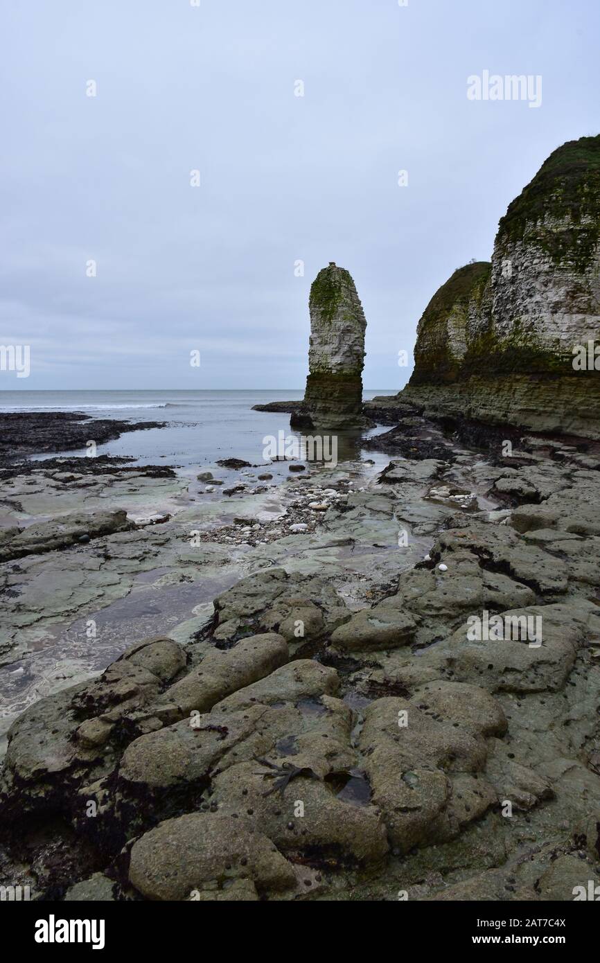 Flamborough head stack hi-res stock photography and images - Alamy