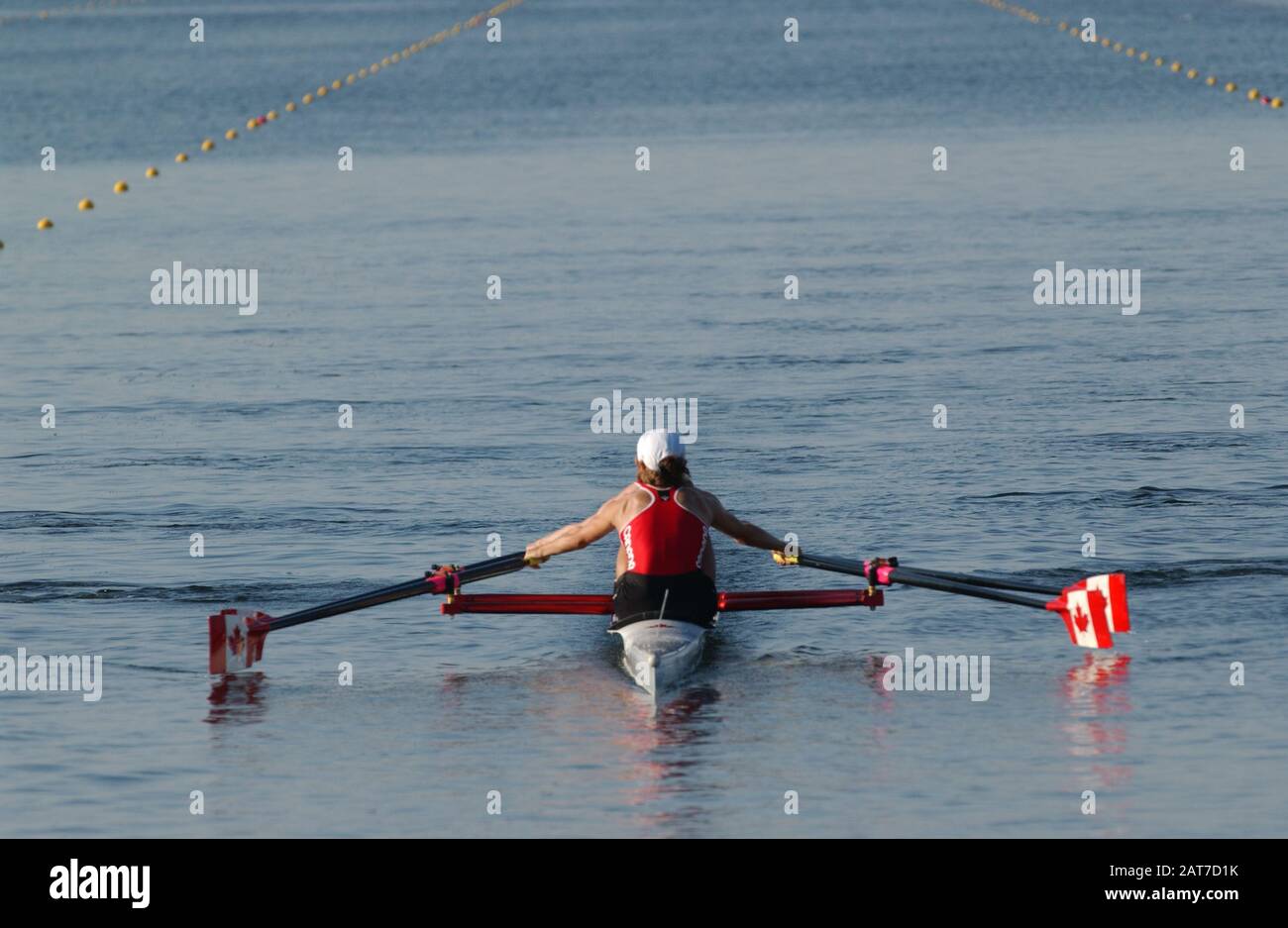 Can lw2x bow hi-res stock photography and images - Alamy