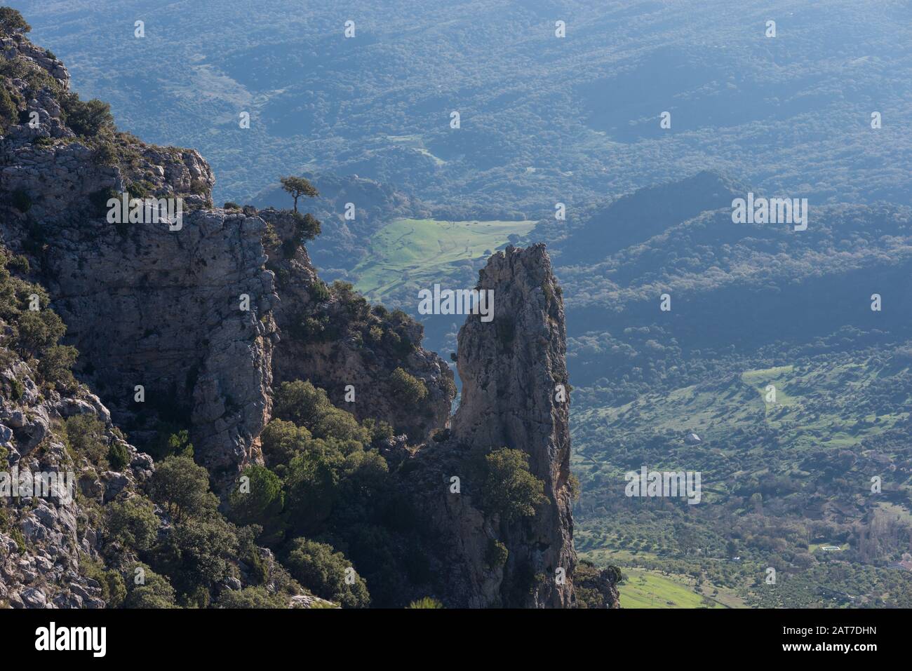 Pointy rocky mountain with vultures flying in a green valley of ...
