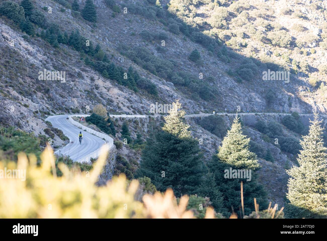 Professional bike athlete cyclist climbing hi-res stock photography and ...