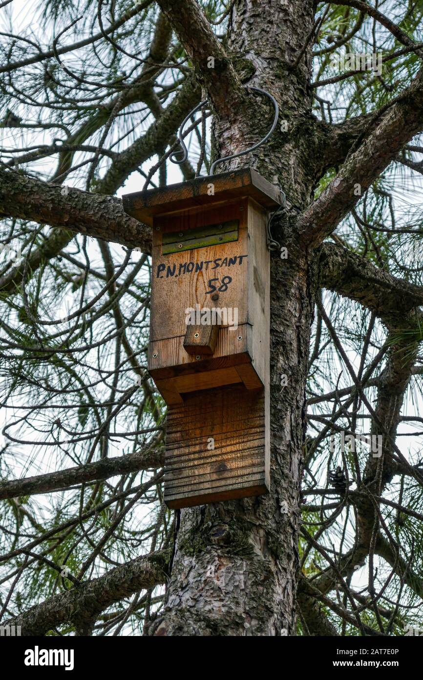 Wooden batbox hi-res stock photography and images - Alamy