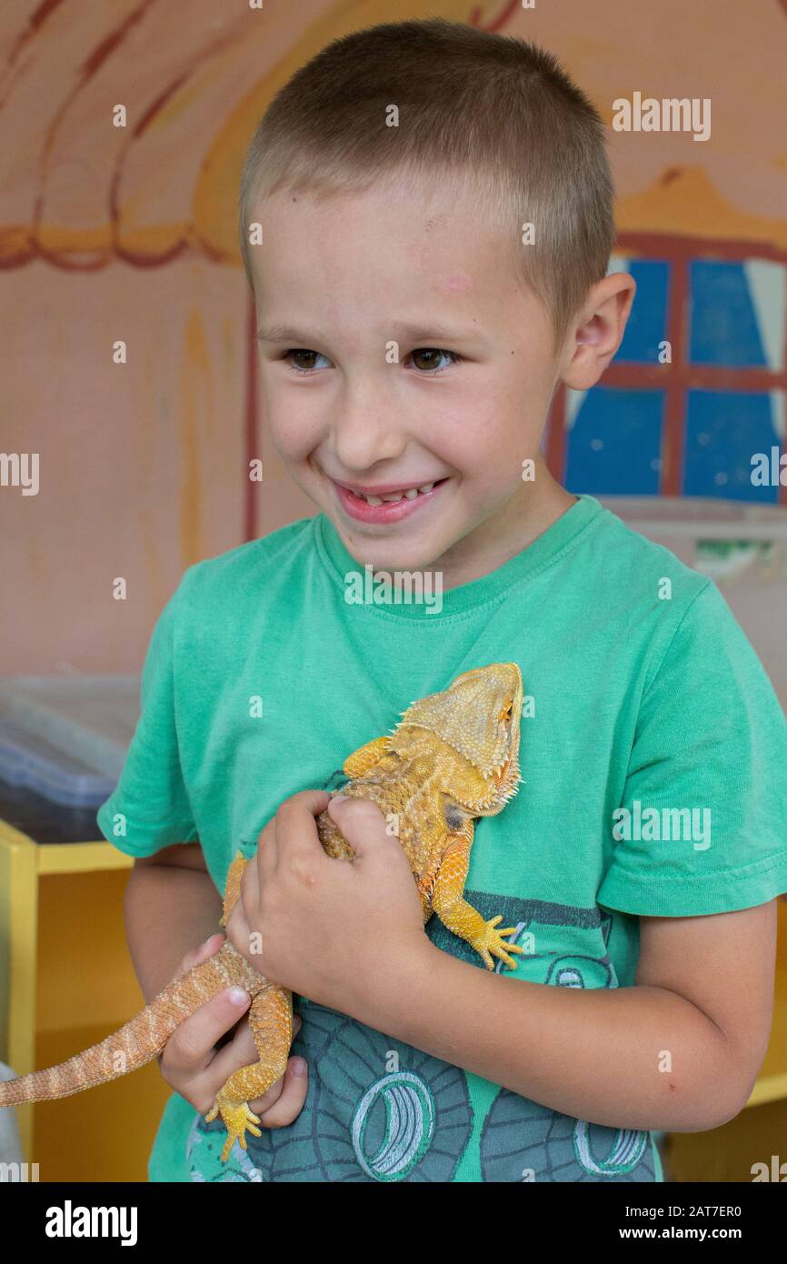 Boy looking at lizard hi-res stock photography and images - Alamy