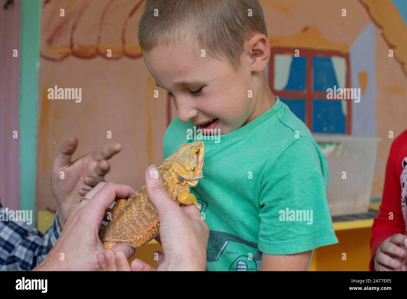 A child with a reptile. A boy with a yellow lizard Stock Photo - Alamy