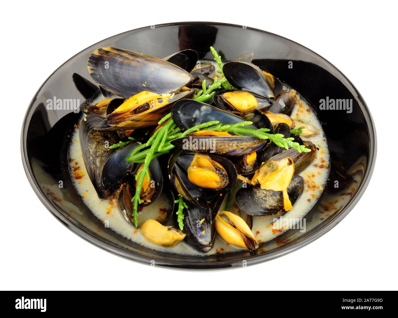 Fresh cooked mussels with samphire in white wine sauce in a black bowl ...