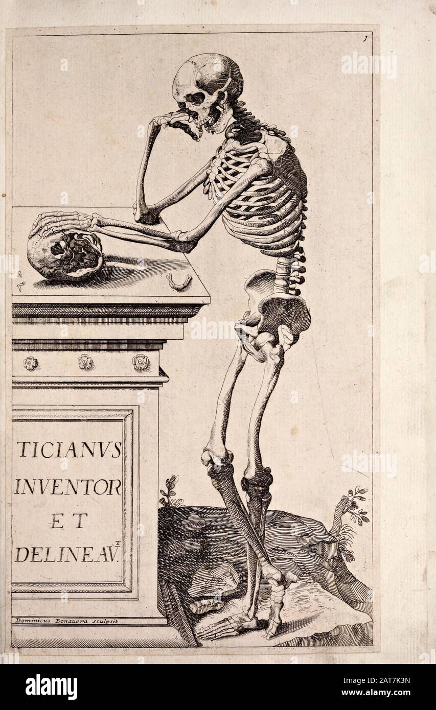 Male full body side view skeleton woodcut print at the opening of the ...