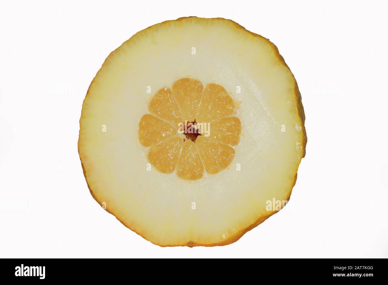 Halved citron (Citrus medica), cutout, Germany Stock Photo - Alamy