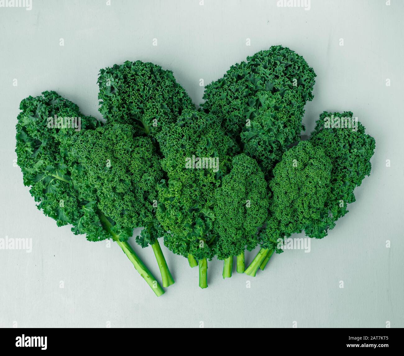 kale pattern on a white background, top view Stock Photo - Alamy
